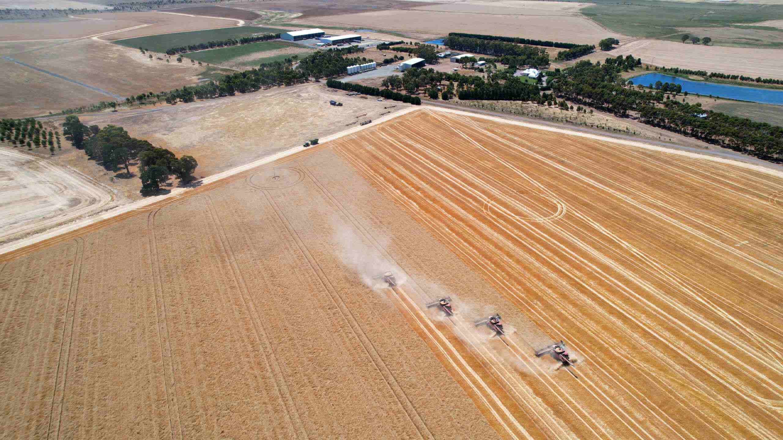 Graphic Design | Small Dog Design