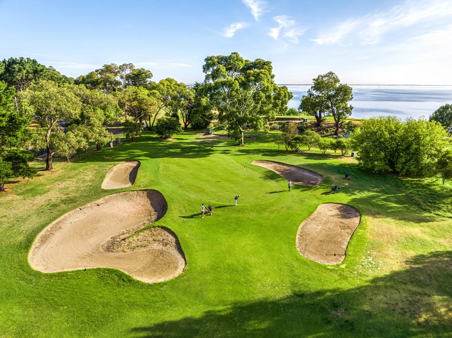 Our Portfolio | Small Dog Design